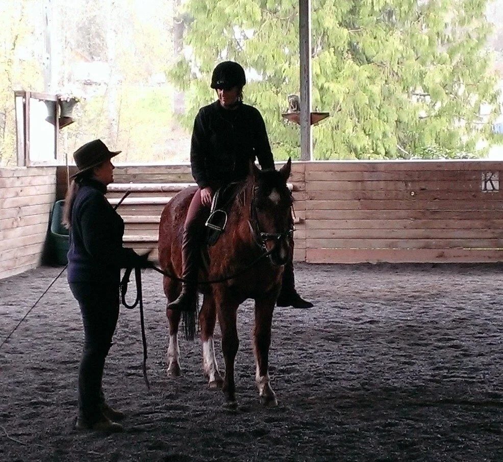 Correct position — Classical Equitation With Mary Anne Campbell