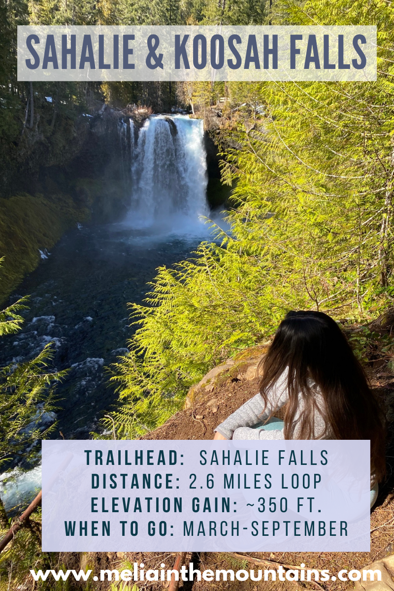 A Guide To Day Hiking Oregon’s Best Waterfalls- Sahalie and Koosah ...