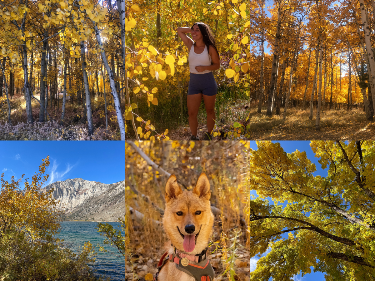 The Best Fall Color Hikes In the Eastern Sierra — melia in the mountains