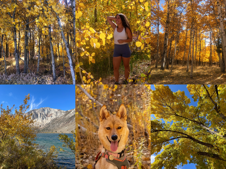 The Best Fall Color Hikes In the Eastern Sierra — melia in the mountains