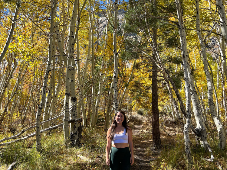 The Best Fall Color Hikes In the Eastern Sierra — melia in the mountains