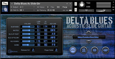Delta Blues Acoustic Slide Guitar | Discover Your Sound—Play Today ...