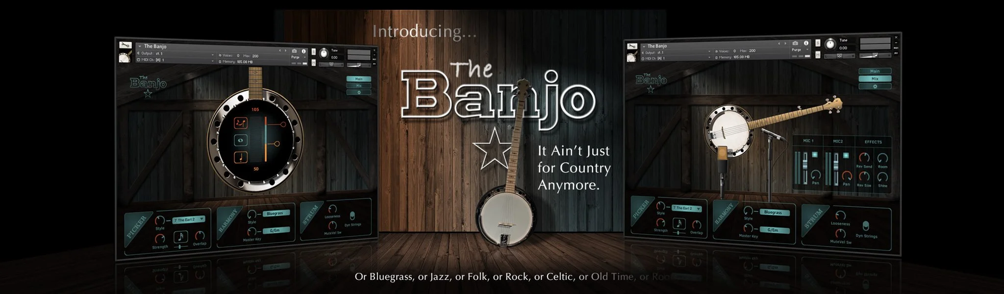 The Banjo | Enhance Your Music Today - Discover The Banjo — Indiginus