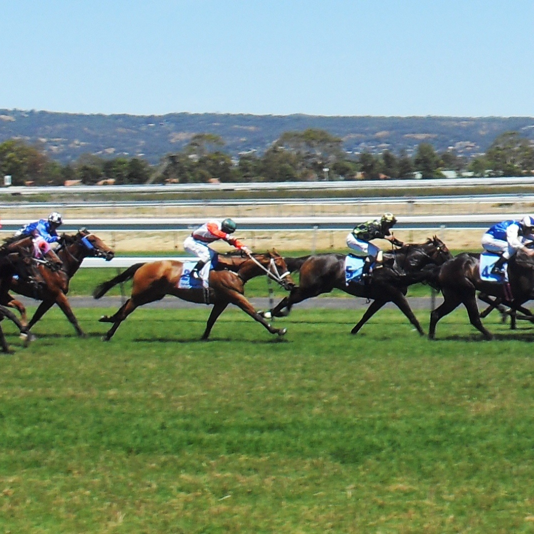 Kyre Park - Local Area