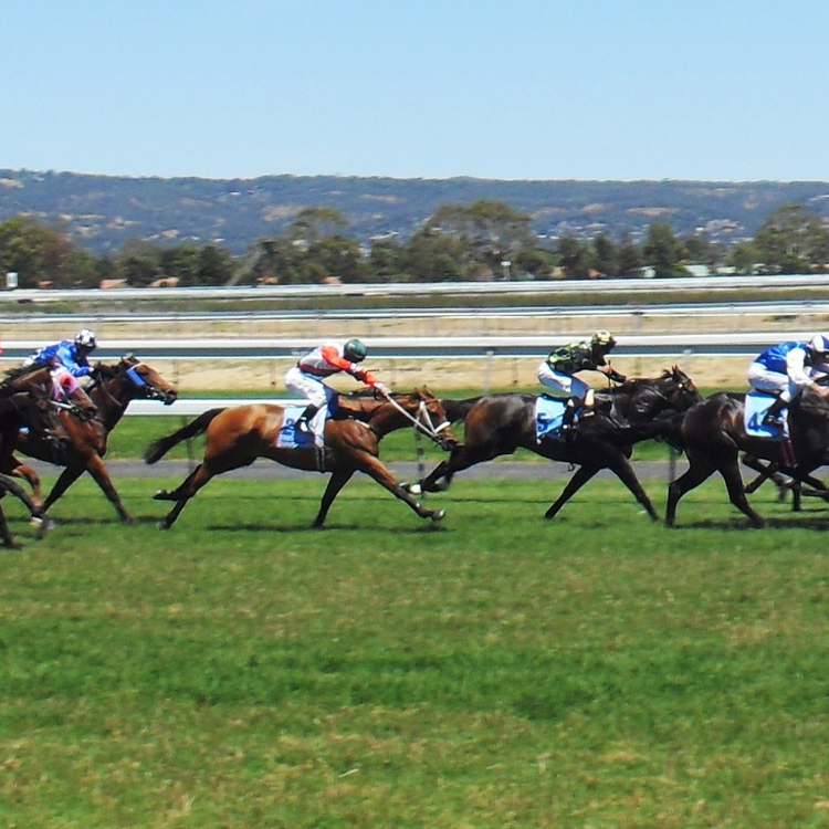Kyre Park - Local Area