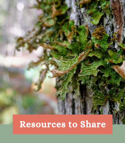 Maine Environmental Education Association