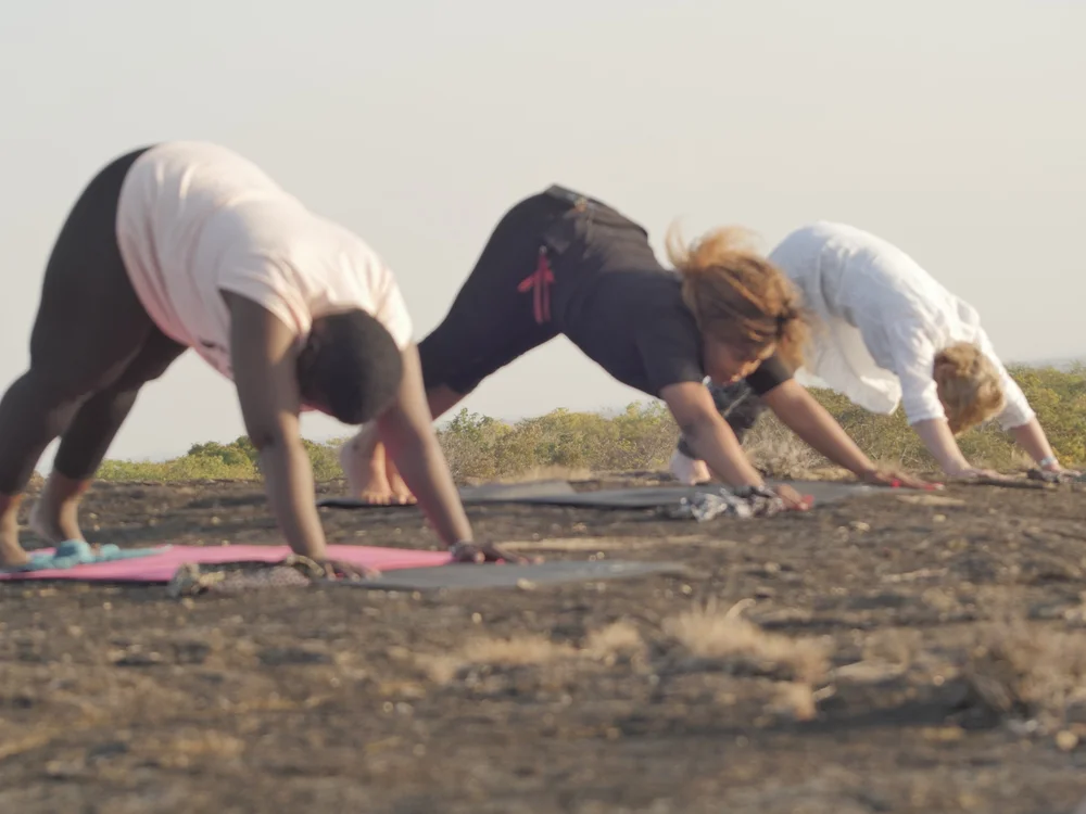 Yoga Safari — Food and Body