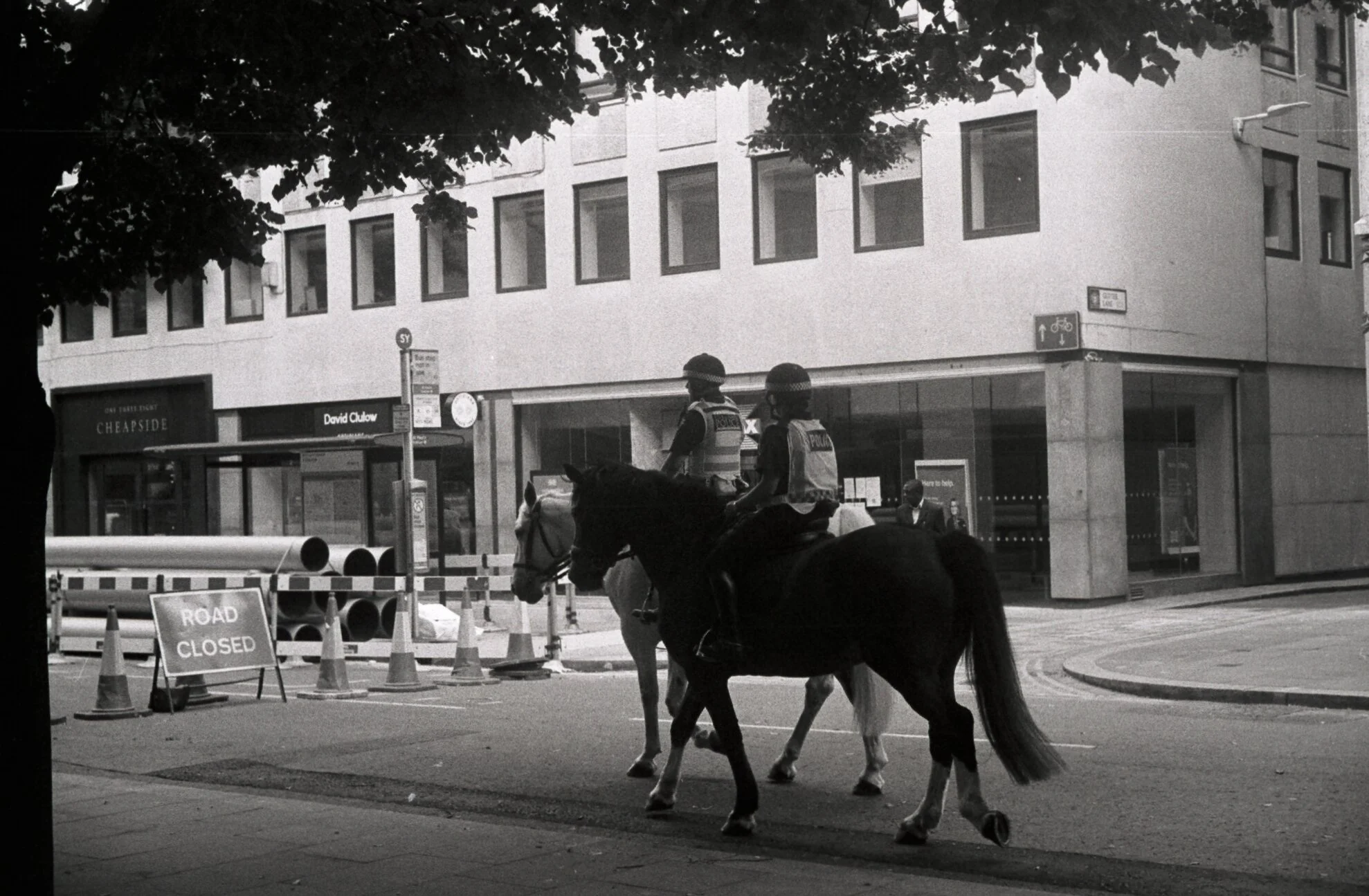 Is the City History? — Dan Dodman History