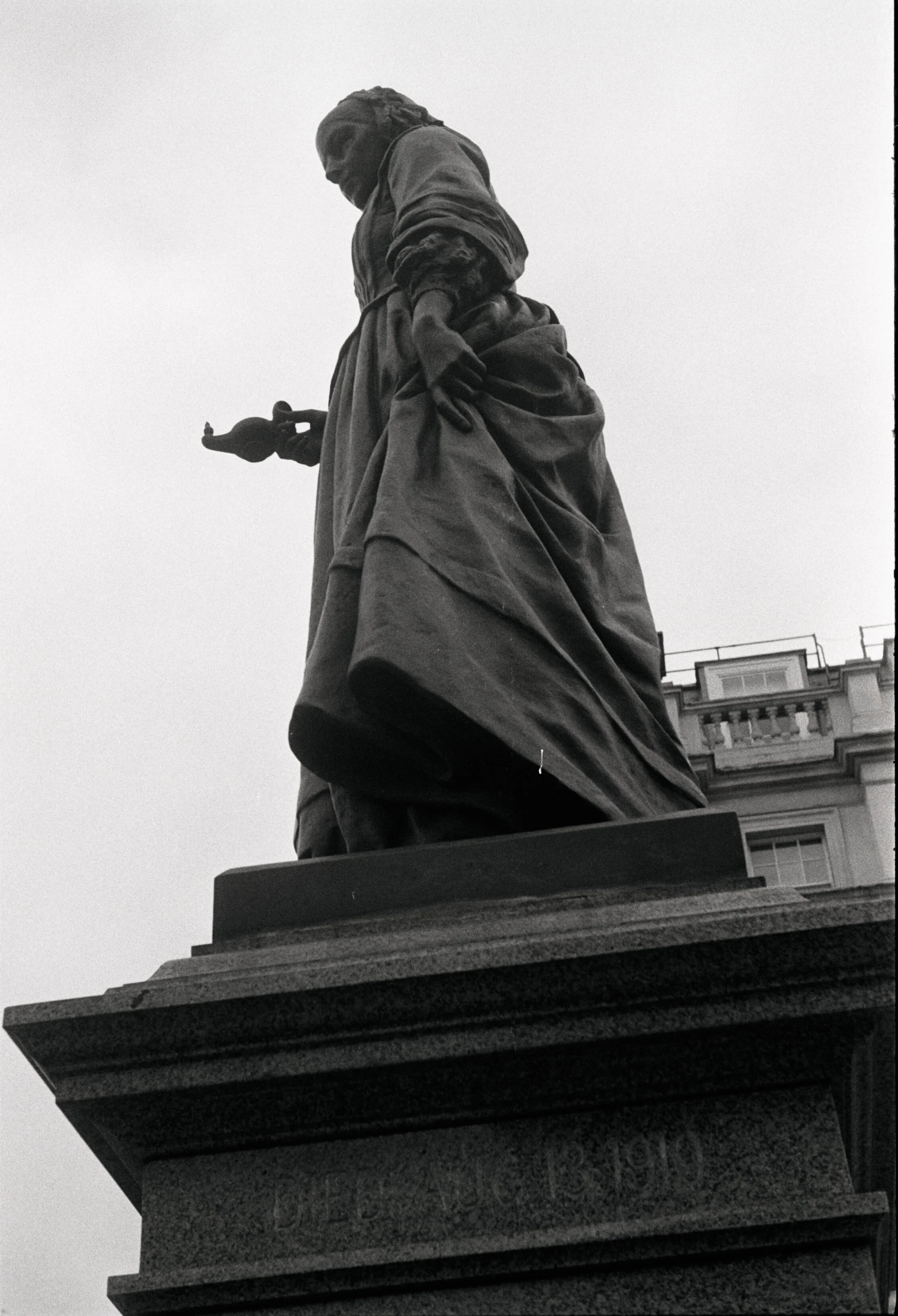 Throwing the Statue book — Dan Dodman History