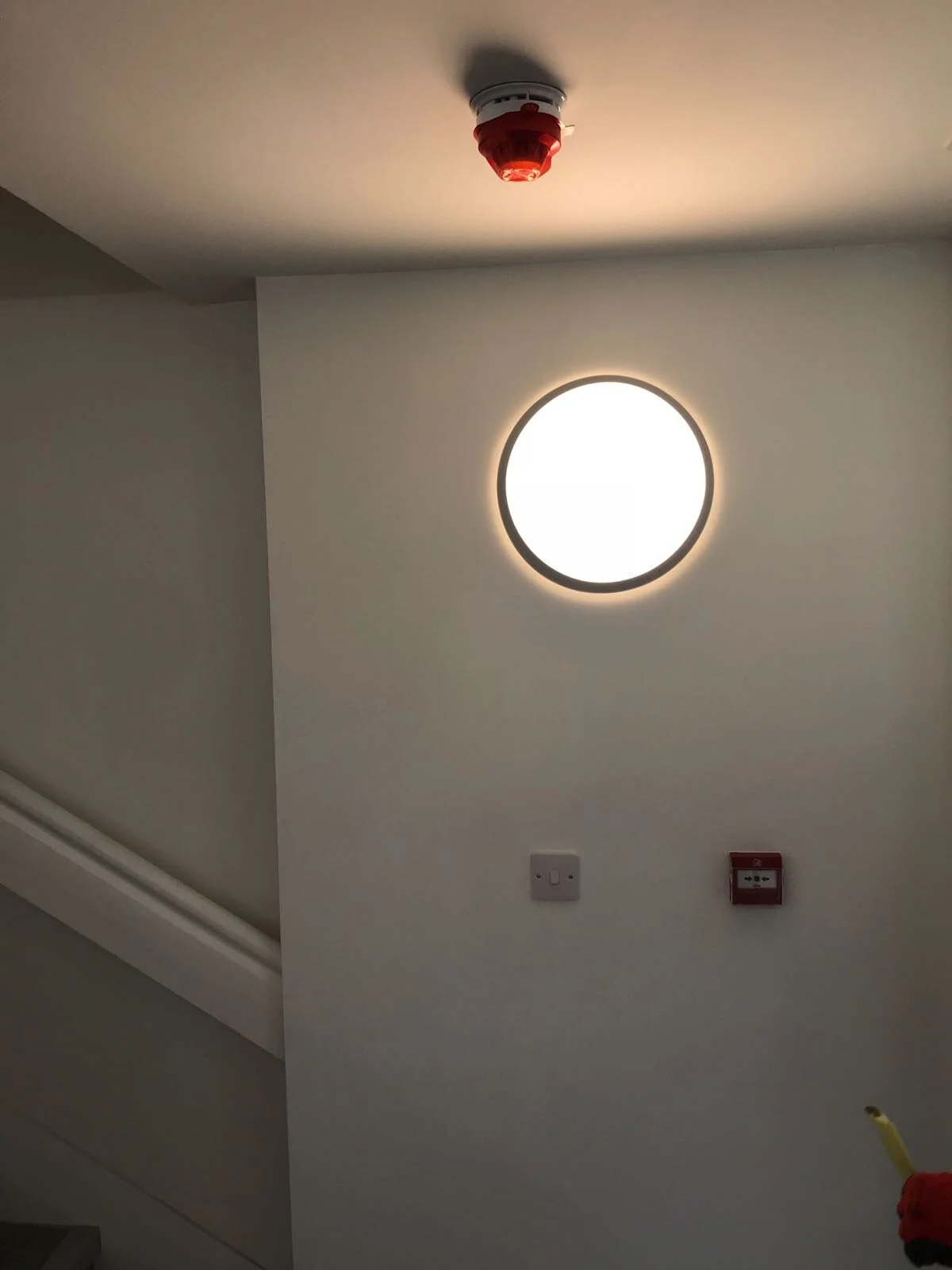 Magnum Halo LED IP65 LED bulkhead luminaire — Spear Lighting: UK ...