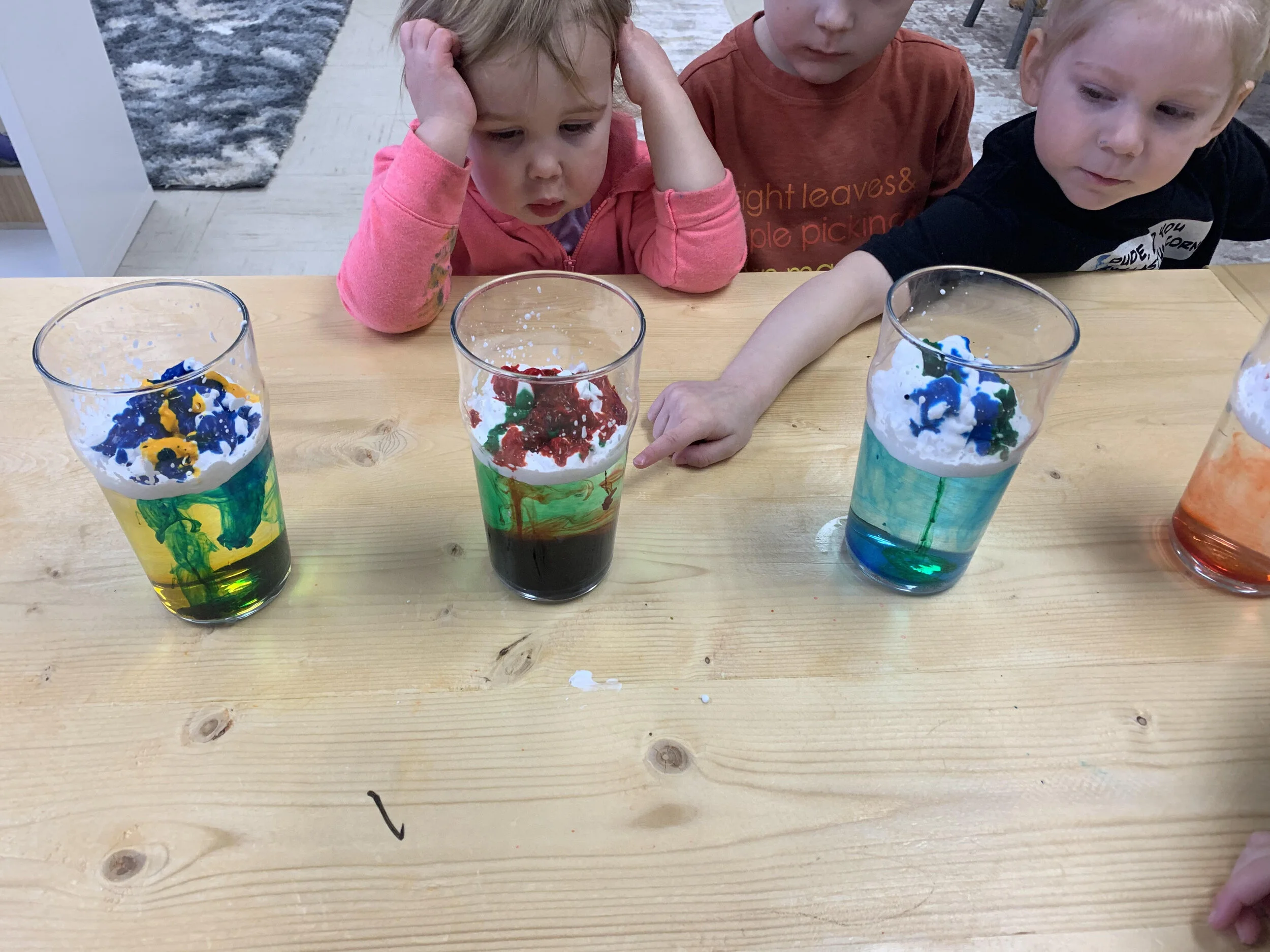 The Summit Learning Center