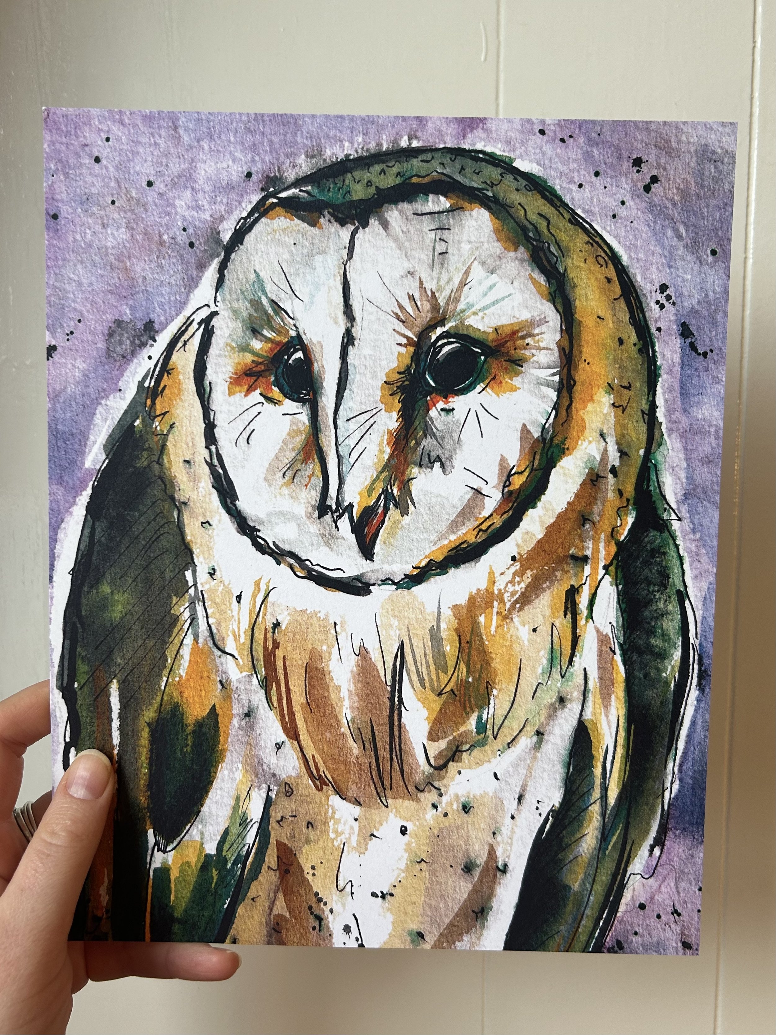 The Littlest Falcon - Merlyn Griffiths Artist and Printmaker