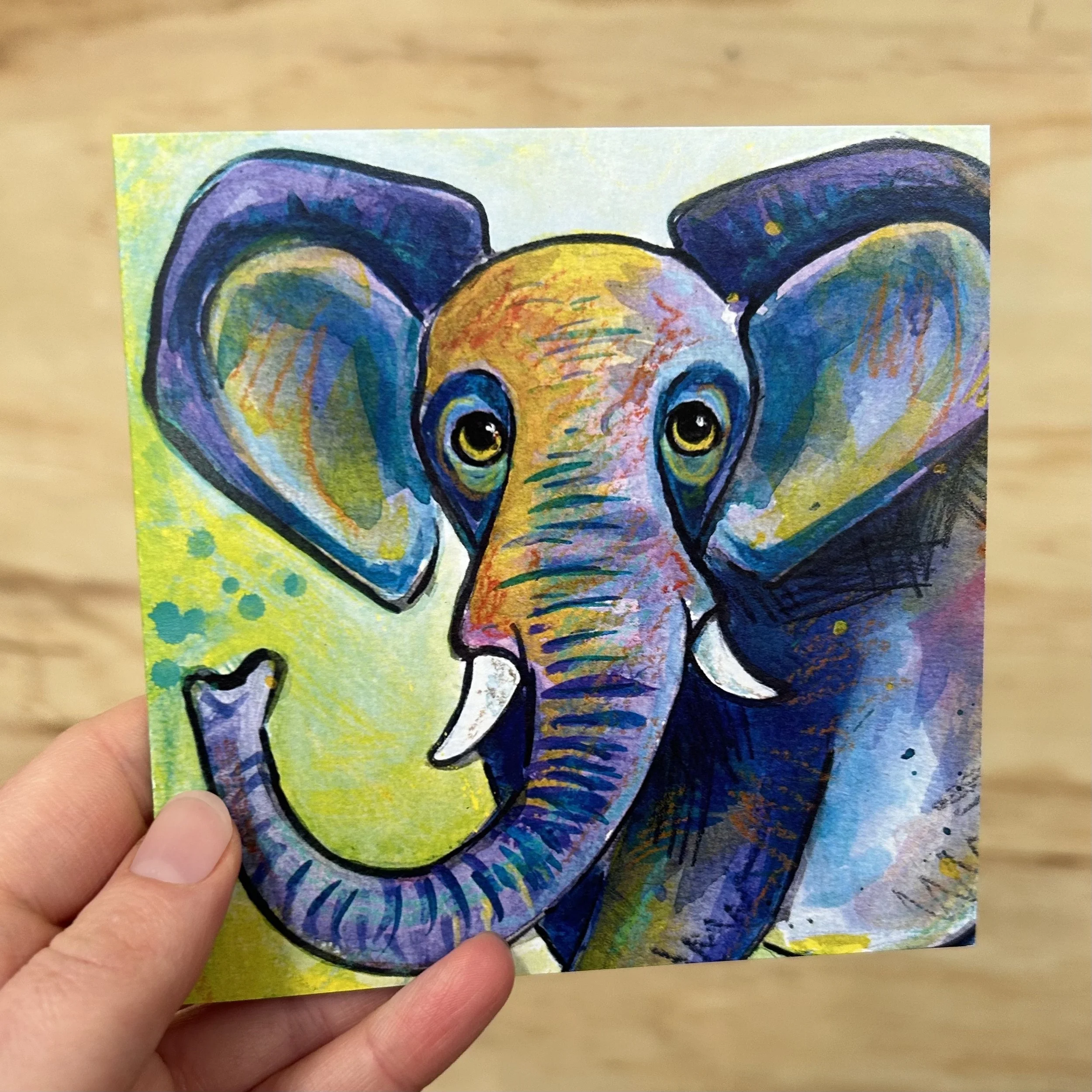 The Littlest Falcon - Merlyn Griffiths Artist and Printmaker