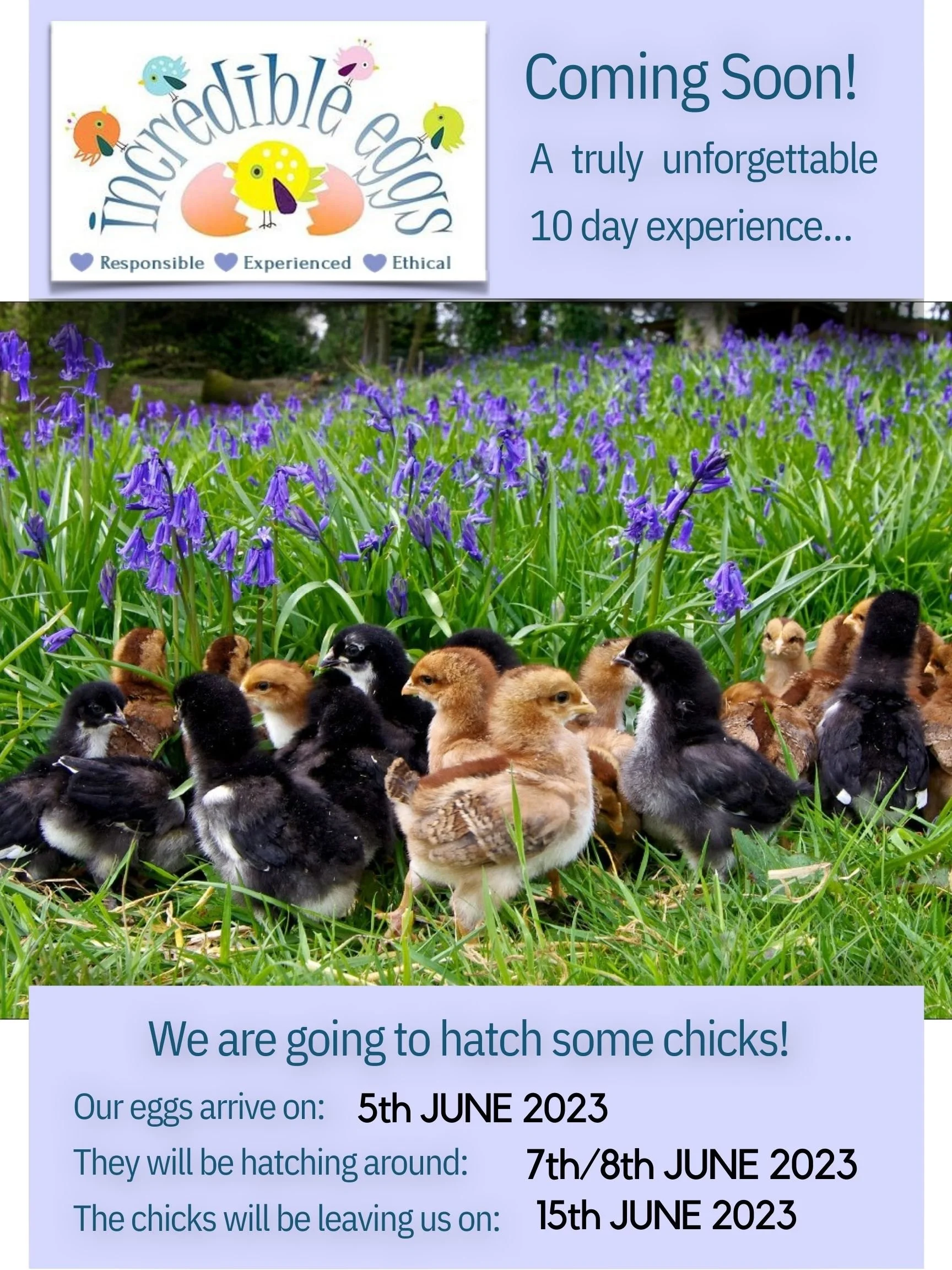 Noticeboard — Little Acorns Childcare - Childcare in Folkestone, Kent