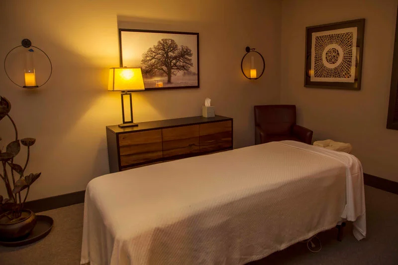 Our Space - a tranquil, nature-informed environment designed to support ...