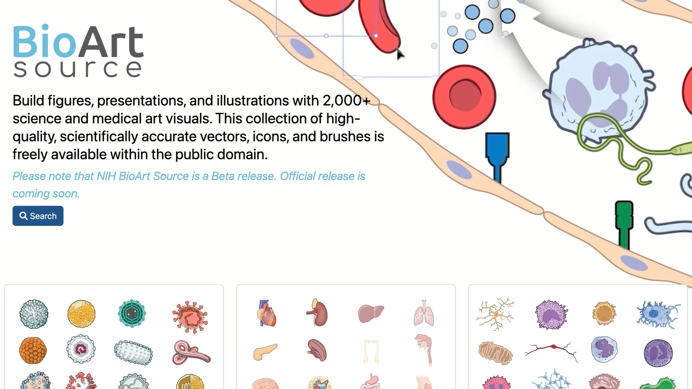 NIH BioArt Source — Center for Injury Research Translation & Communication