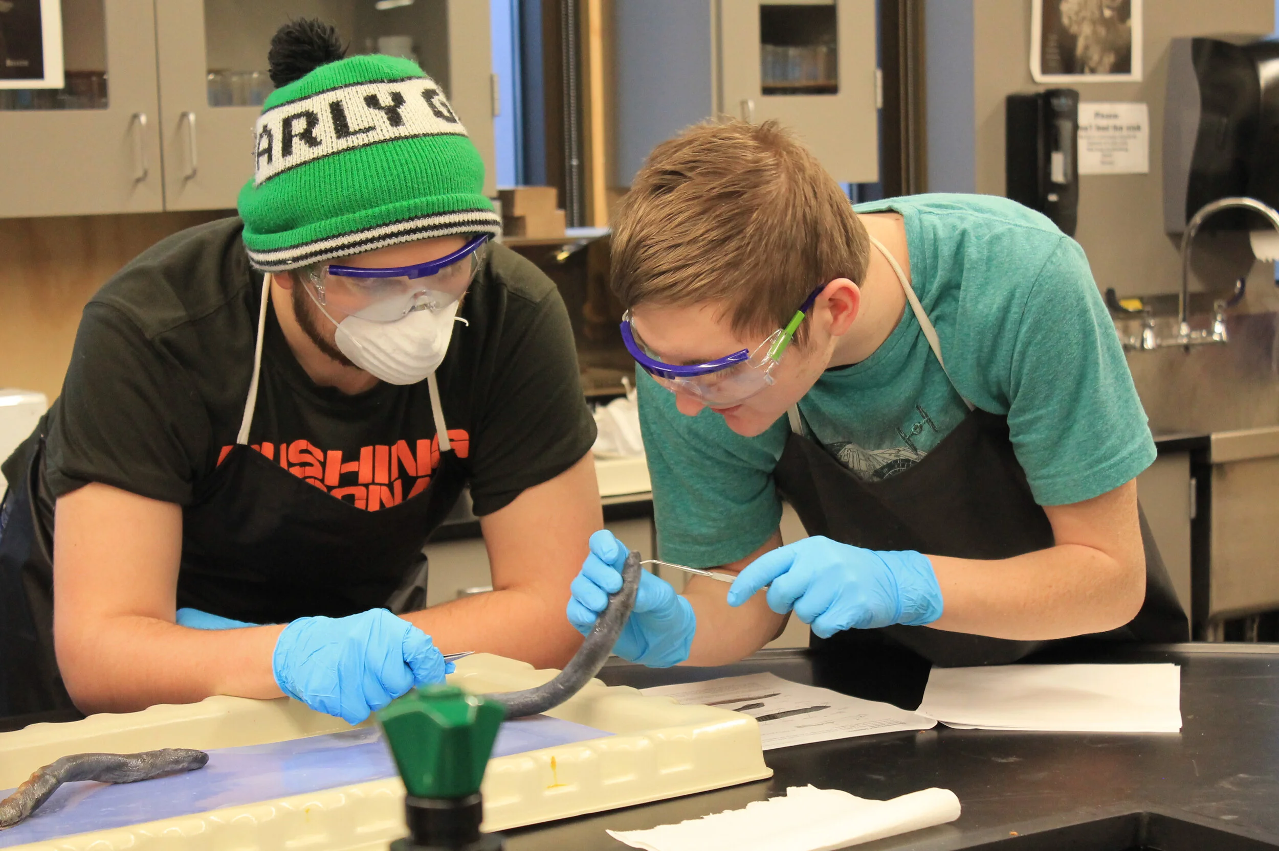 Science and Math Institute — Elements of Education