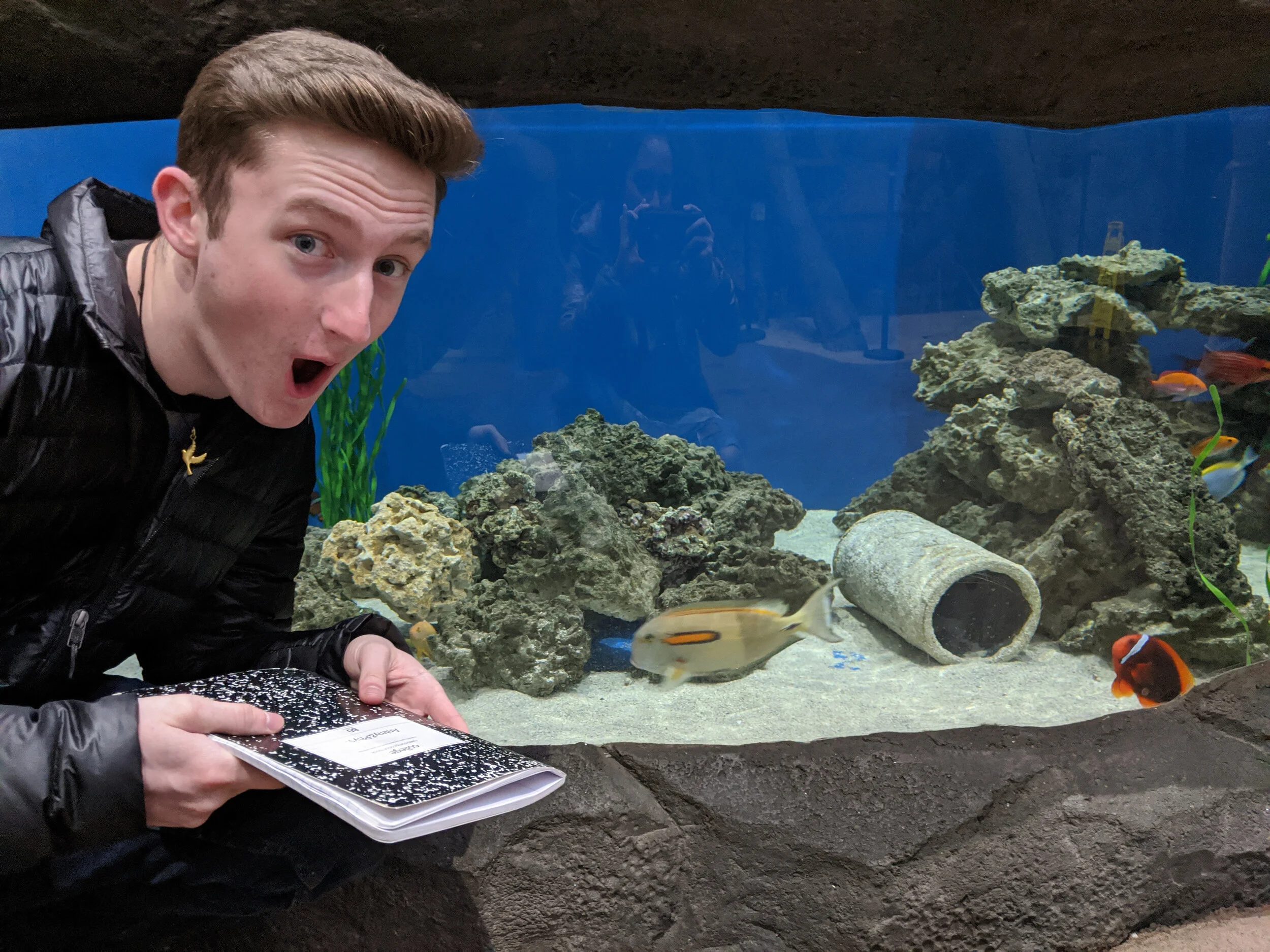 Science and Math Institute — Elements of Education