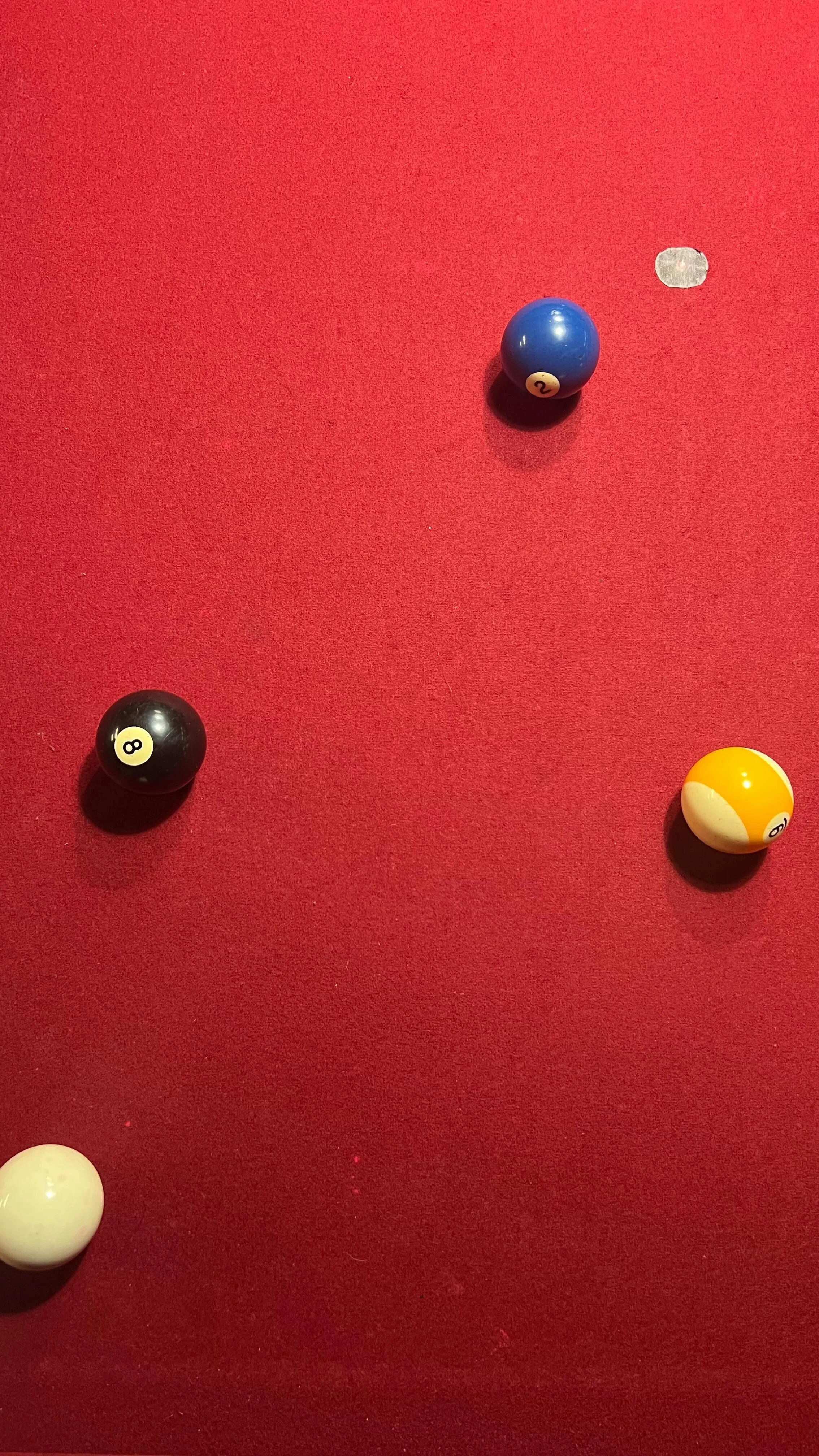 visit — Cellar Dog