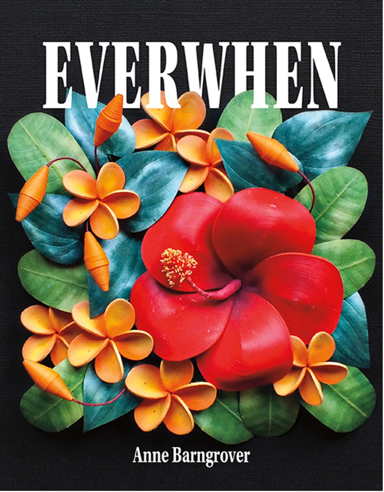 Interview with Anne Barngrover, Author of Everwhen — Jacquelyn Scott