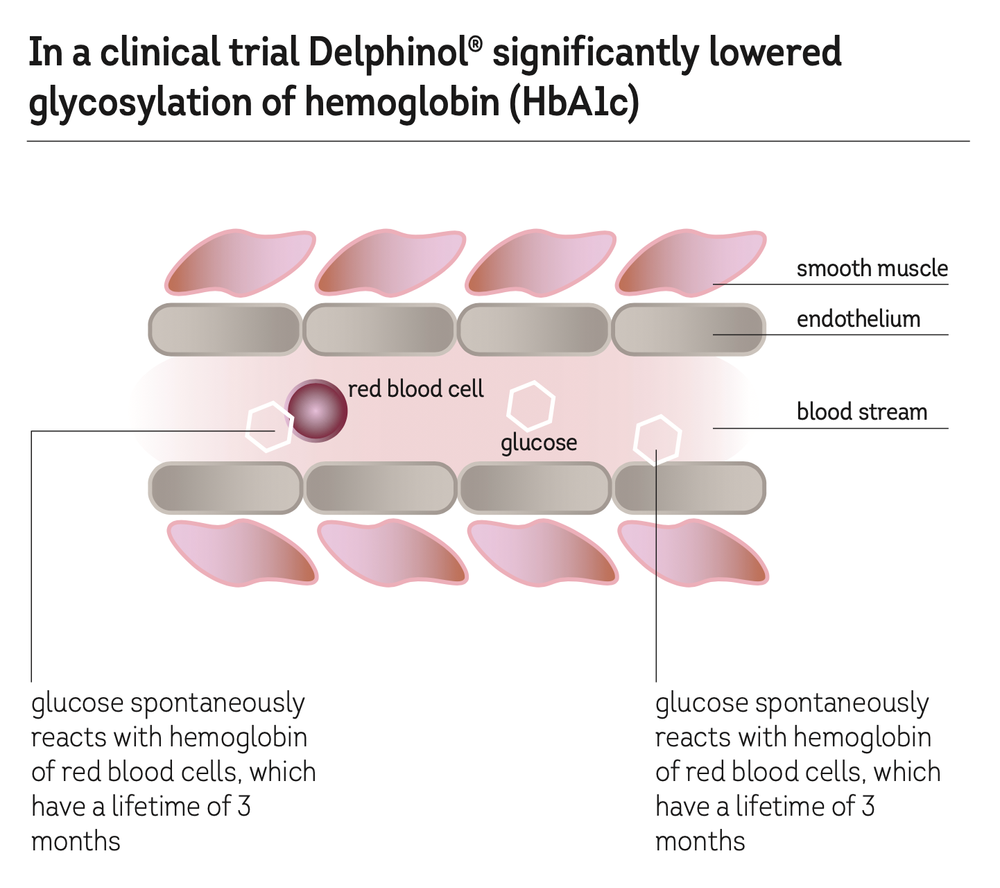 Delphinol Blood Sugar Stabilizing Support — D'Arcy Wellness