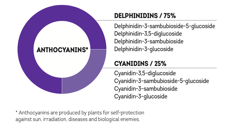 Delphinol's General Qualities — D'Arcy Wellness