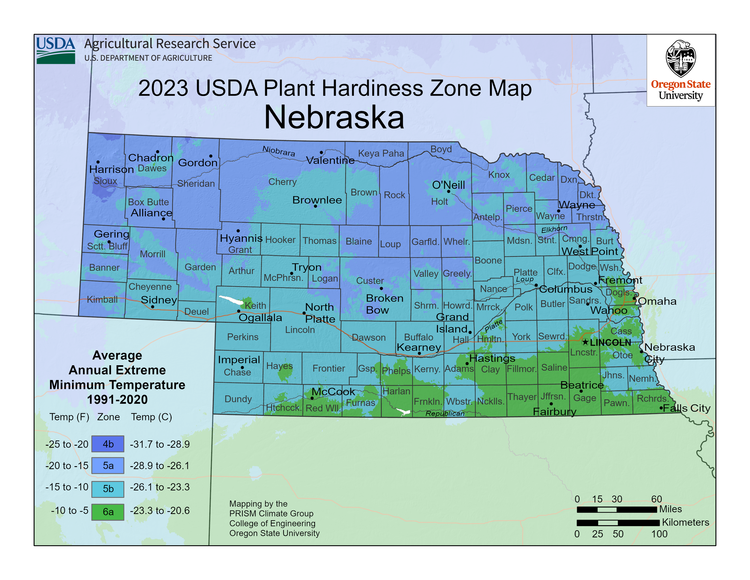 USDA Unveils Updated Plant Hardiness Zone Map — NNLA