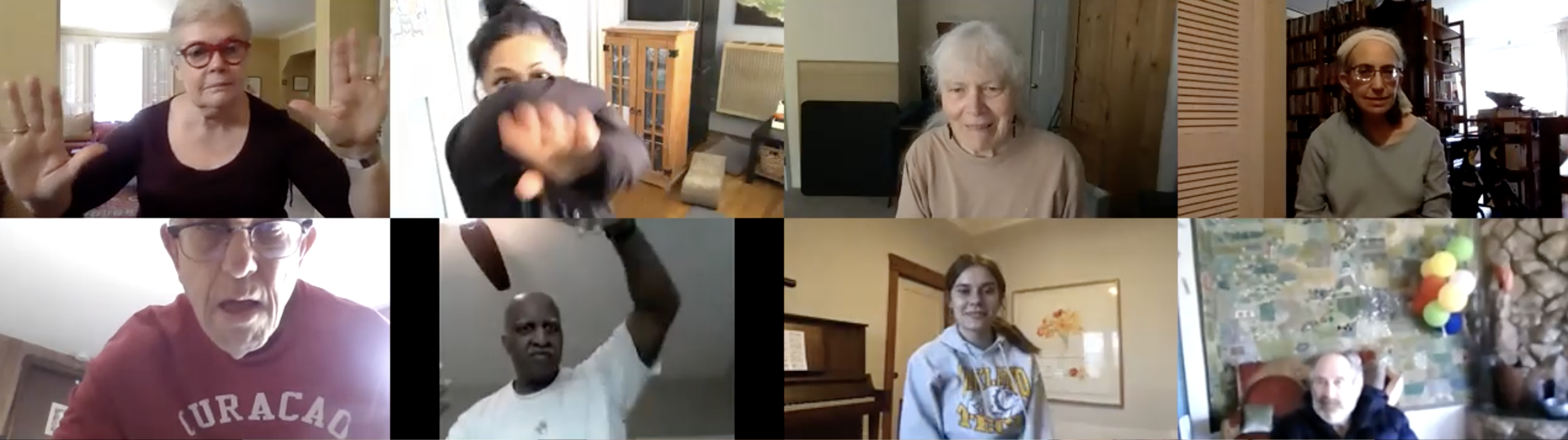 Dance for PD Zoom Class — dNaga Dance Co.