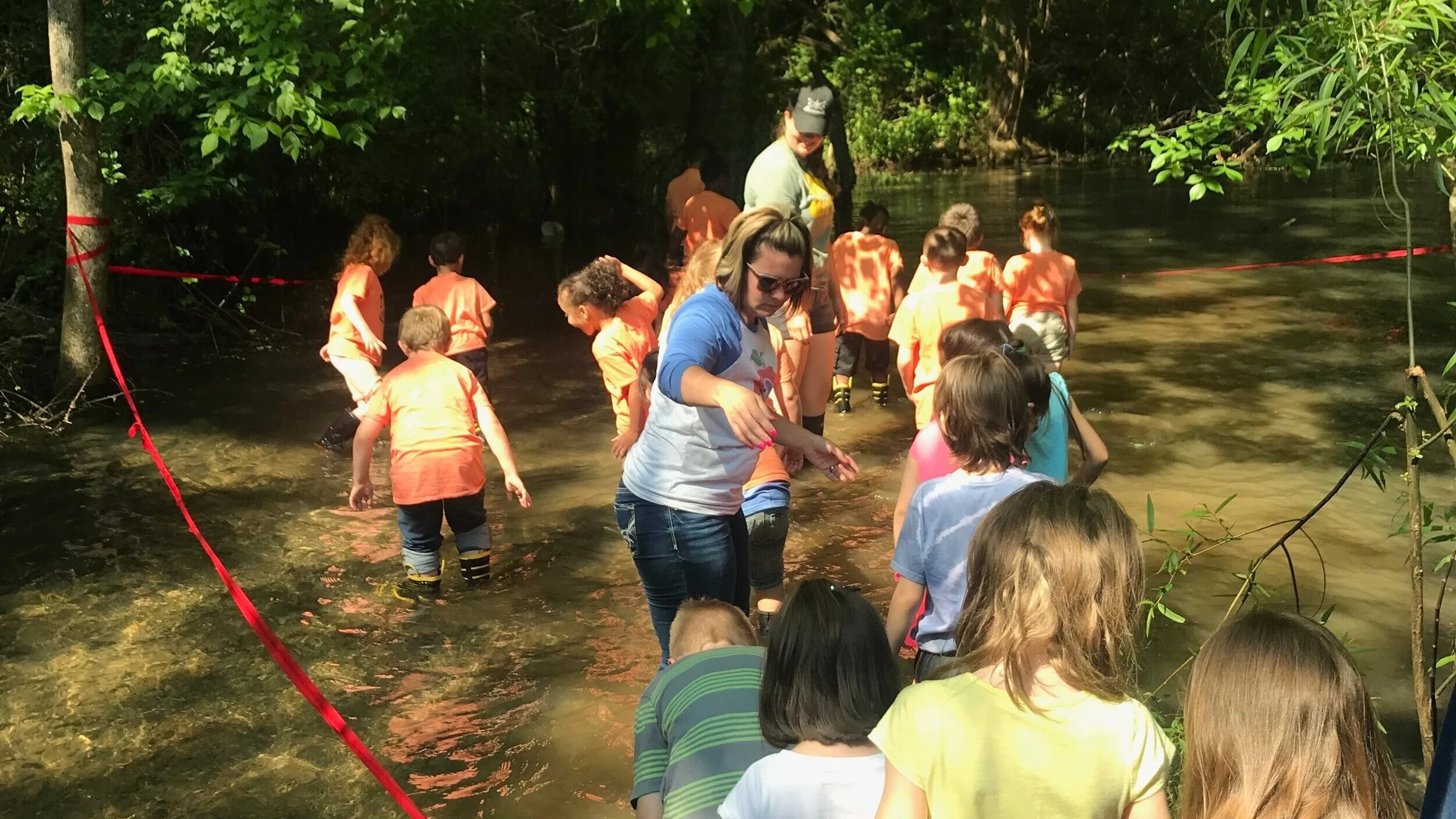 Learning Pod - Amazing Anatomy Dissection Labs — Discovery Center at ...