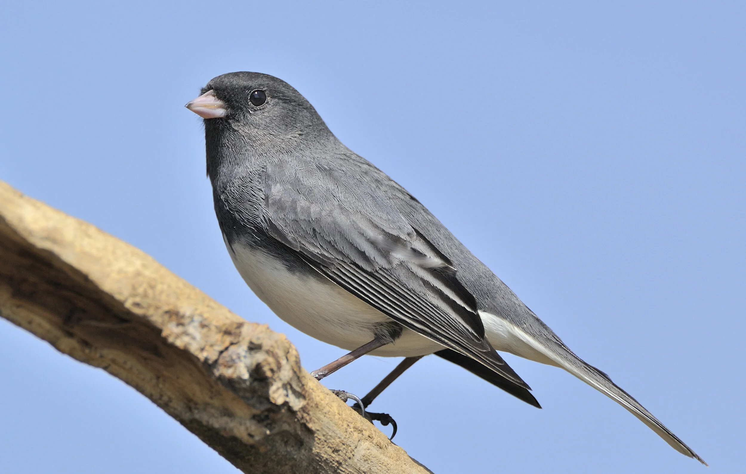 Banshee Reeks Nature Preserve — Jim Clark Photography
