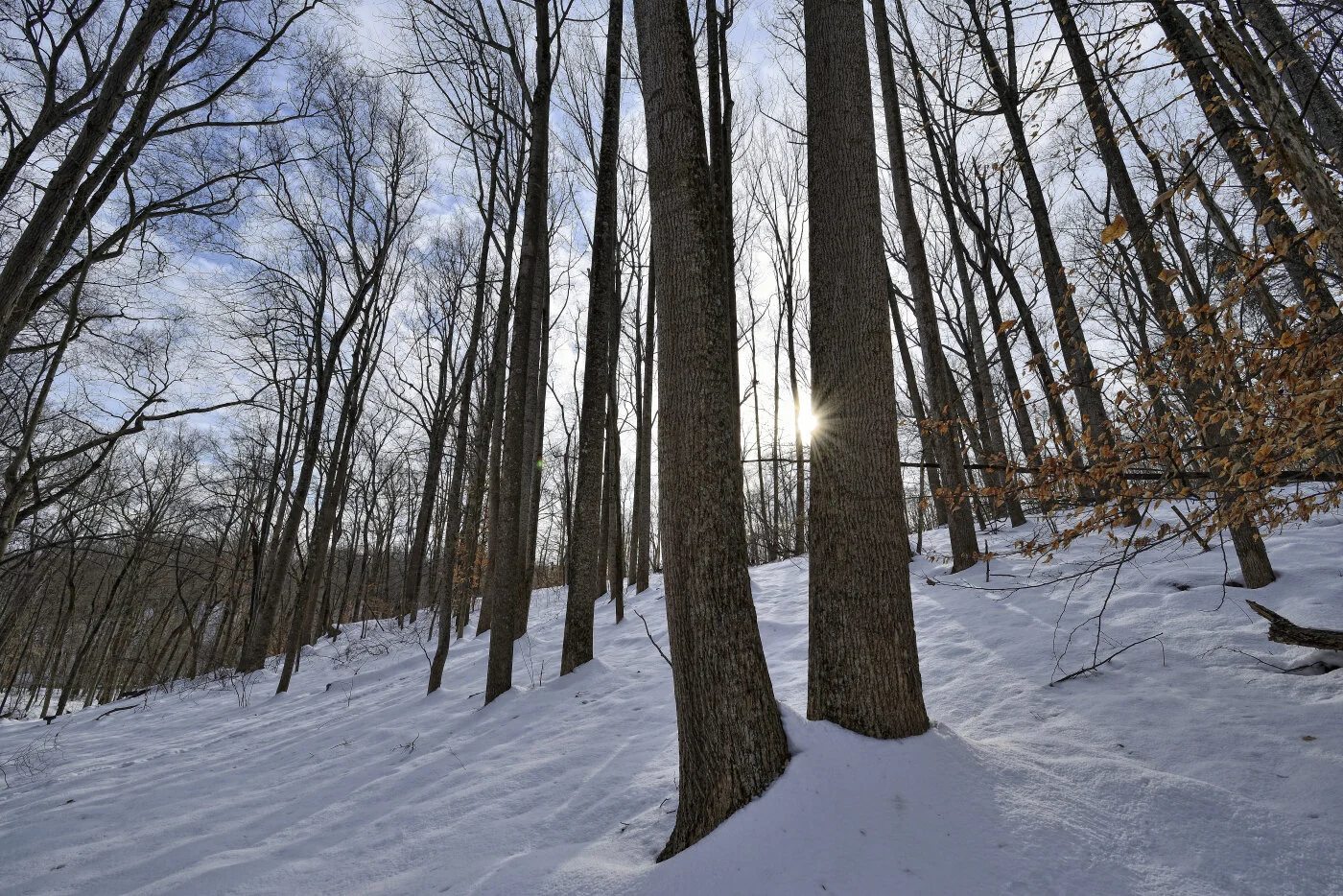 Banshee Reeks Nature Preserve — Jim Clark Photography