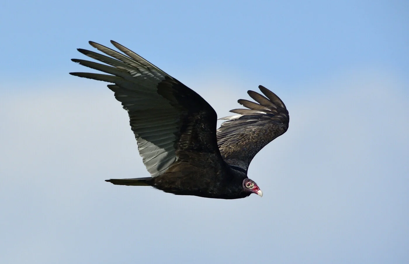 Banshee Reeks Nature Preserve — Jim Clark Photography