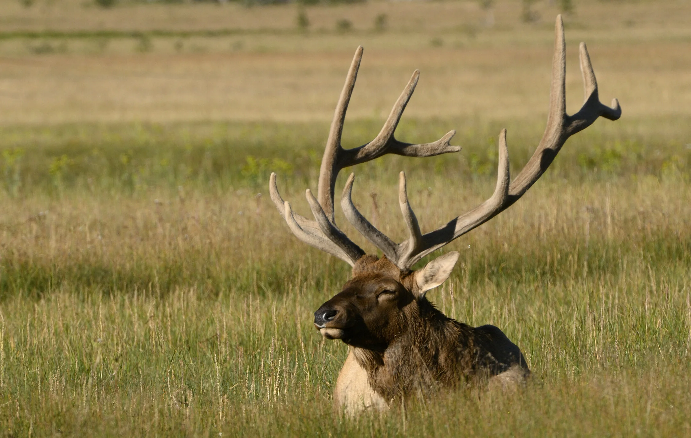 Yellowstone Part Two — Jim Clark Photography