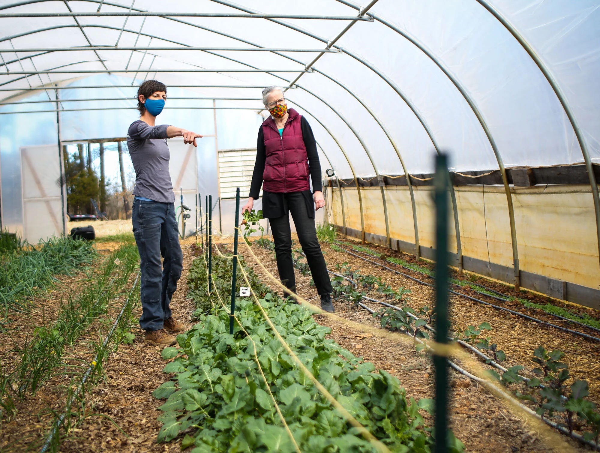 Good Bowls and Copeland Springs Kitchen — Good Bowls