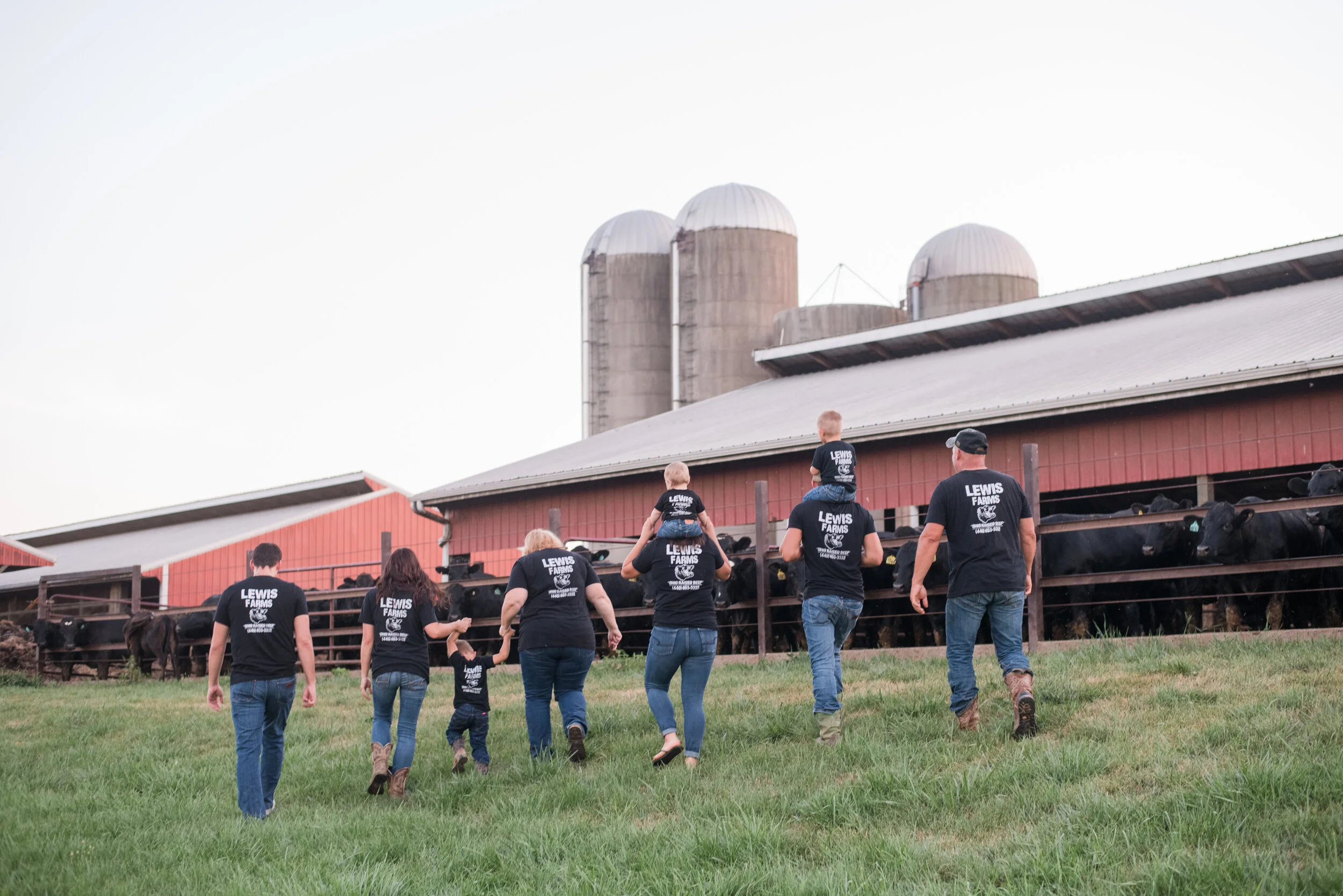 Lewis Farms LLC