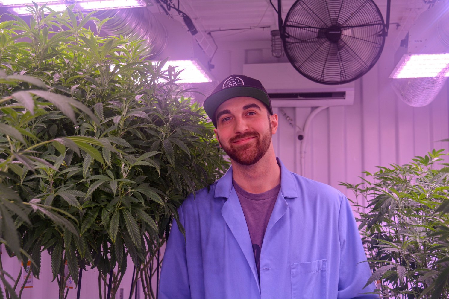 Dylan Bailey - VIGR Life Cannabis — BudSense