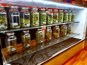 5 California Dispensaries You’ve Got to Check Out — BudSense