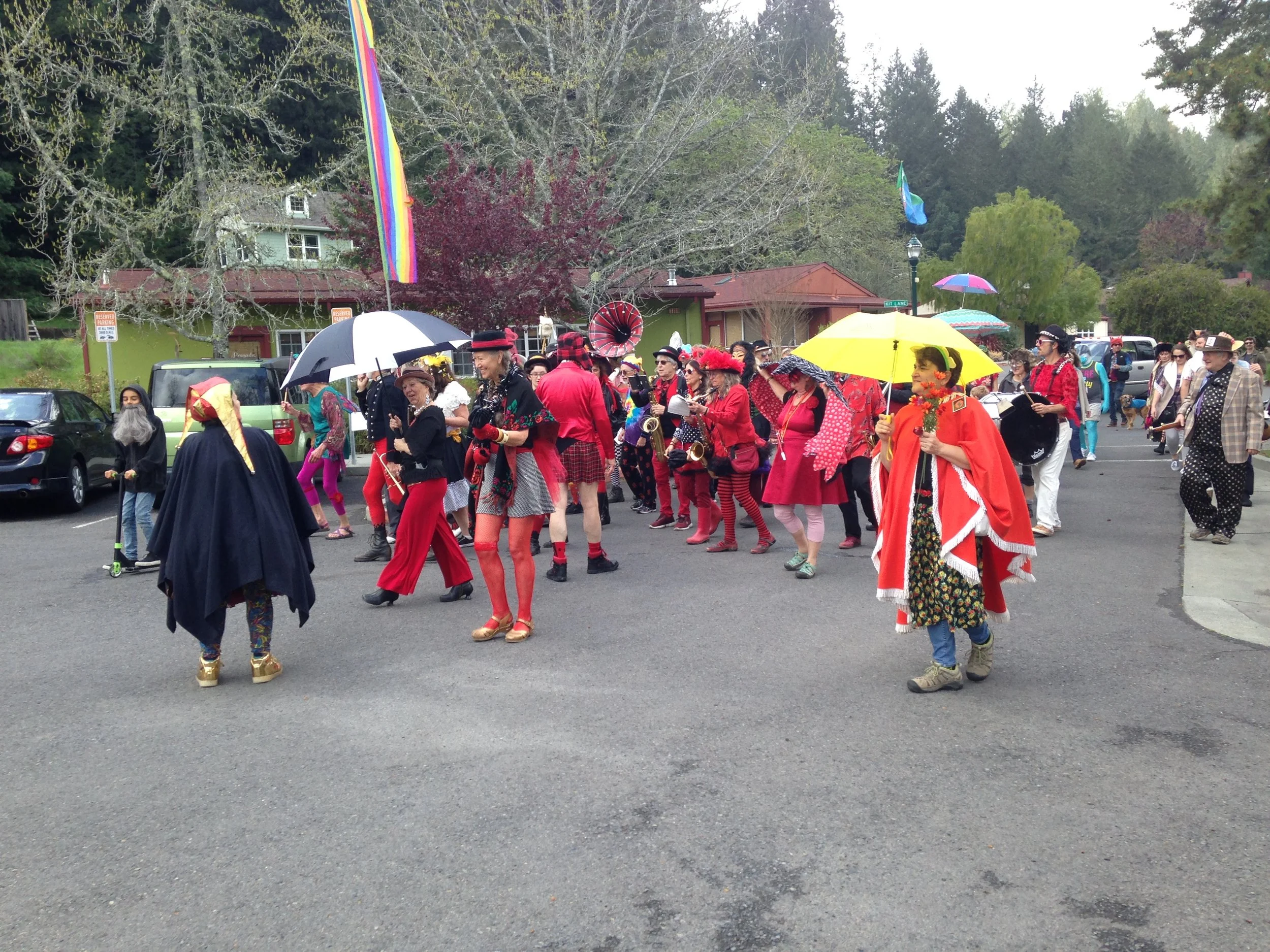 Fool's Parade — Occidental Center for the Arts