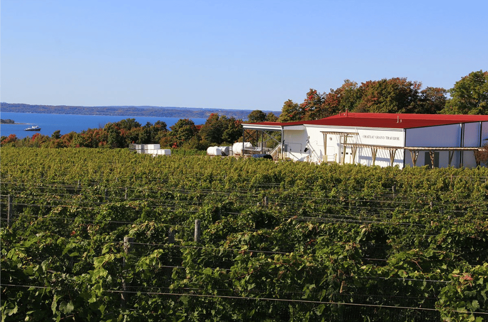 Guided Wino American Wine Travel Guide