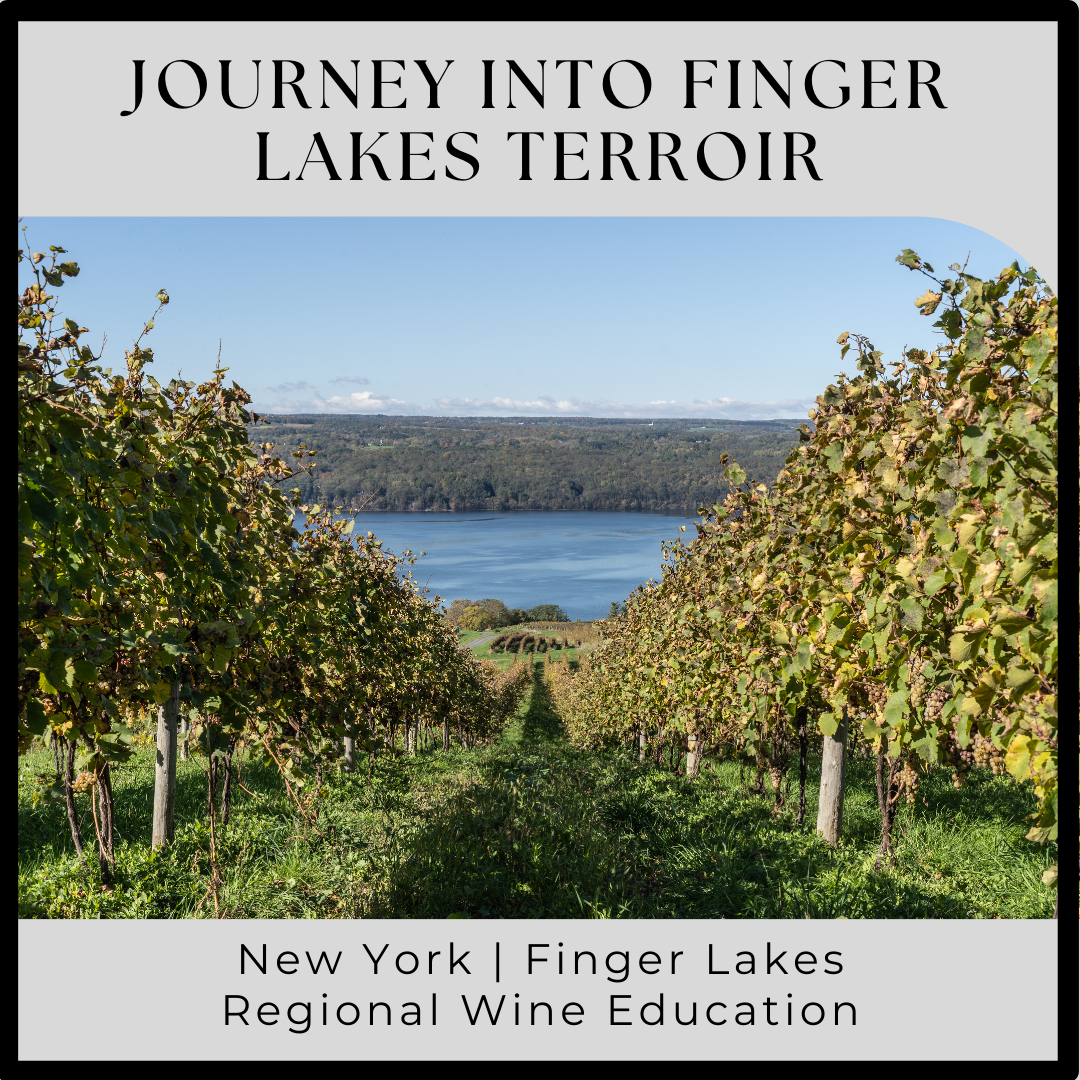 Journey into Finger Lakes Terroir & Best Wine Vintages — Guided Wino