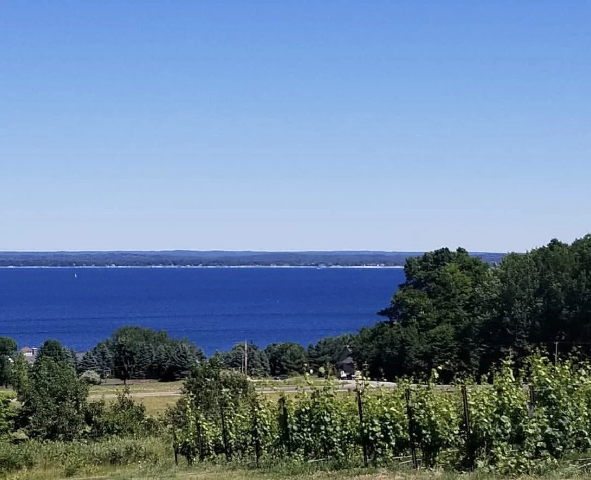 Grapes by the Bay: Traverse City Wine Coast - Leelanau Peninsula and ...