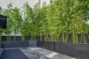 Container Urban Styling — VX DESIGN SOLUTIONS