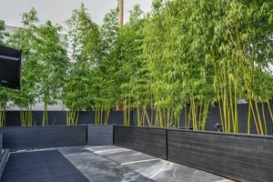 Container Urban Styling — VX DESIGN SOLUTIONS