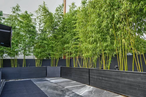 Container Urban Styling — VX DESIGN SOLUTIONS
