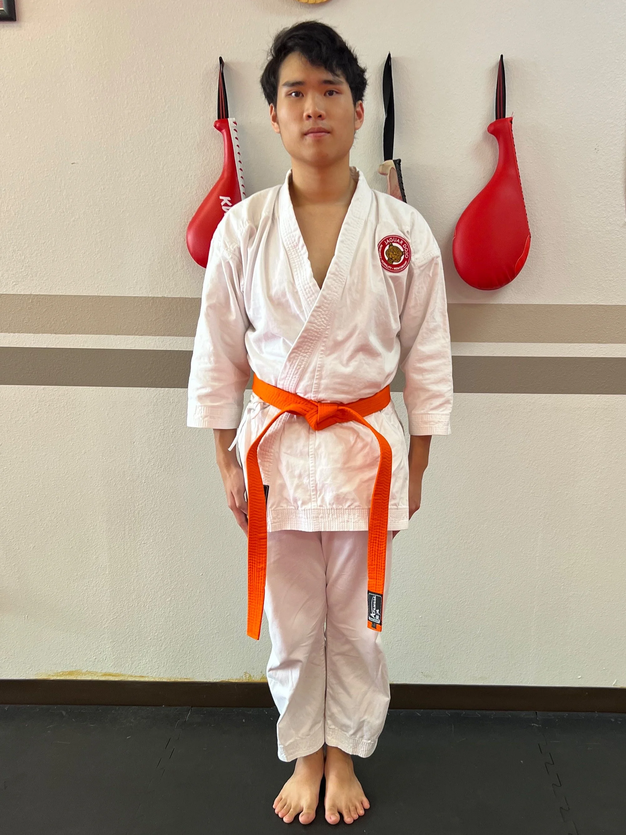Jaguar Dojo