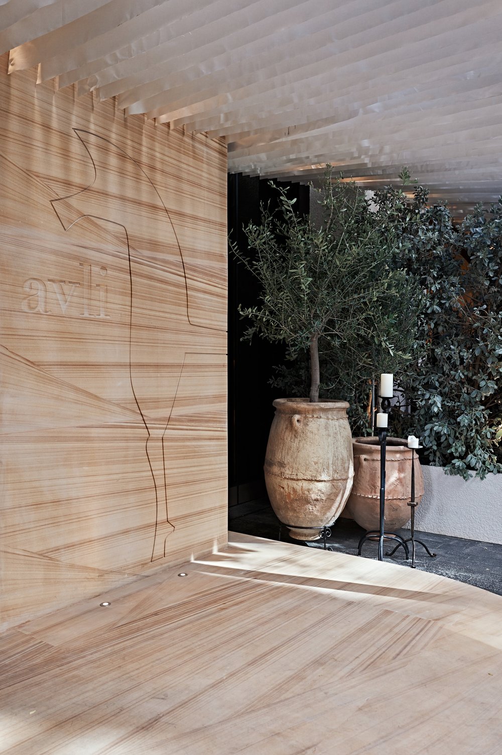 AVLI — TASHAS GROUP