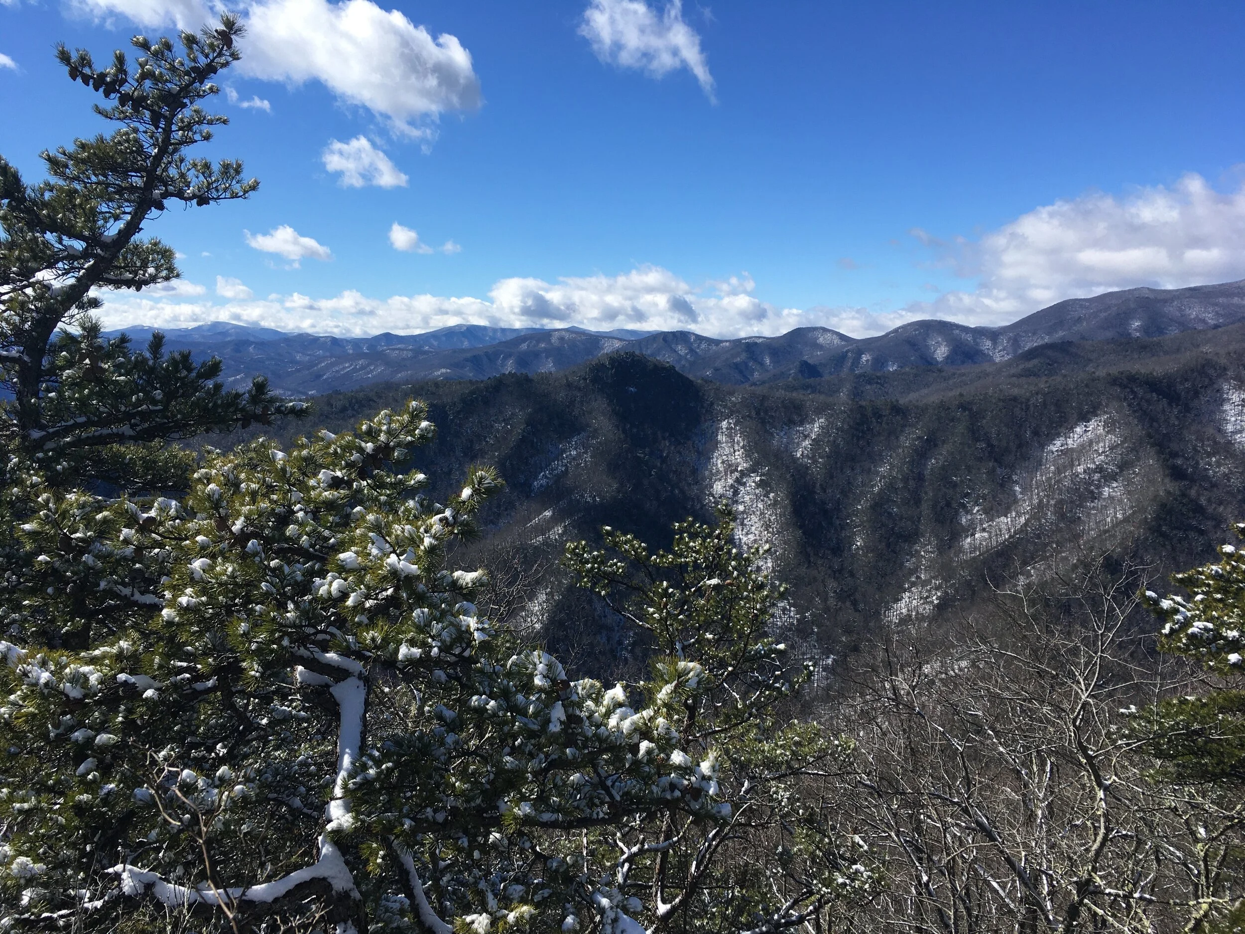 Catawba Tree Experts, Inc.