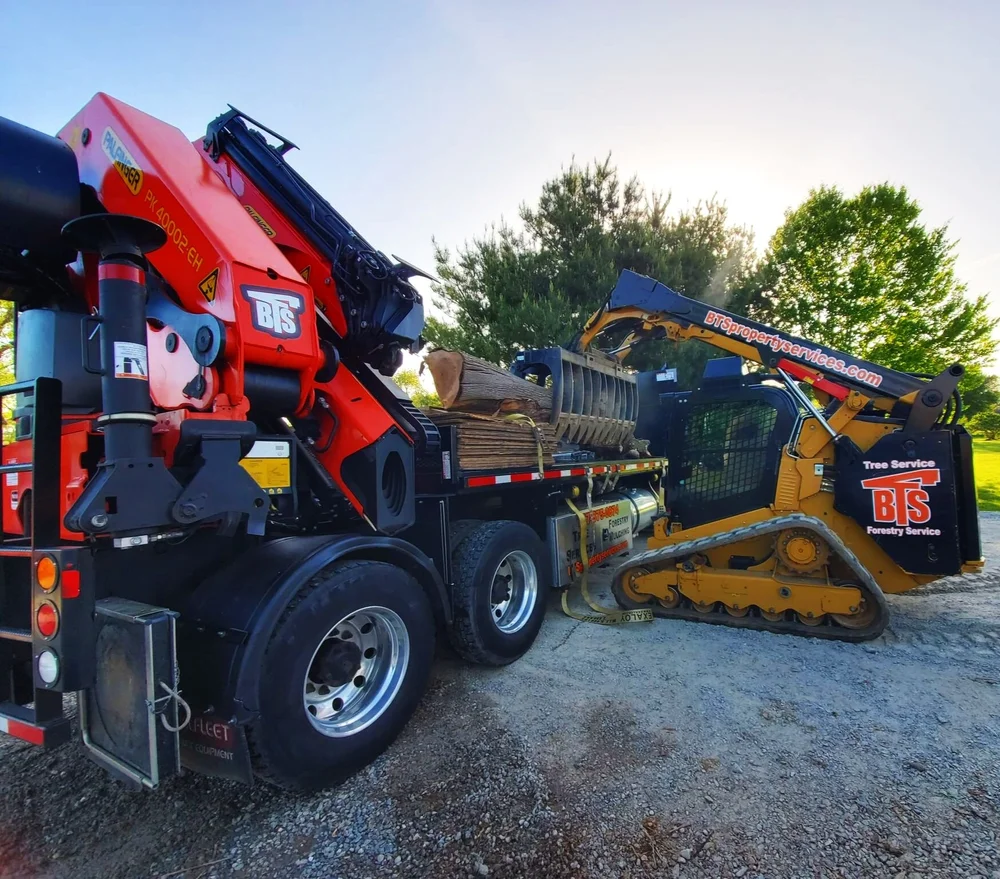 BTS Tree Services - Tree Removal Services | Lancaster County
