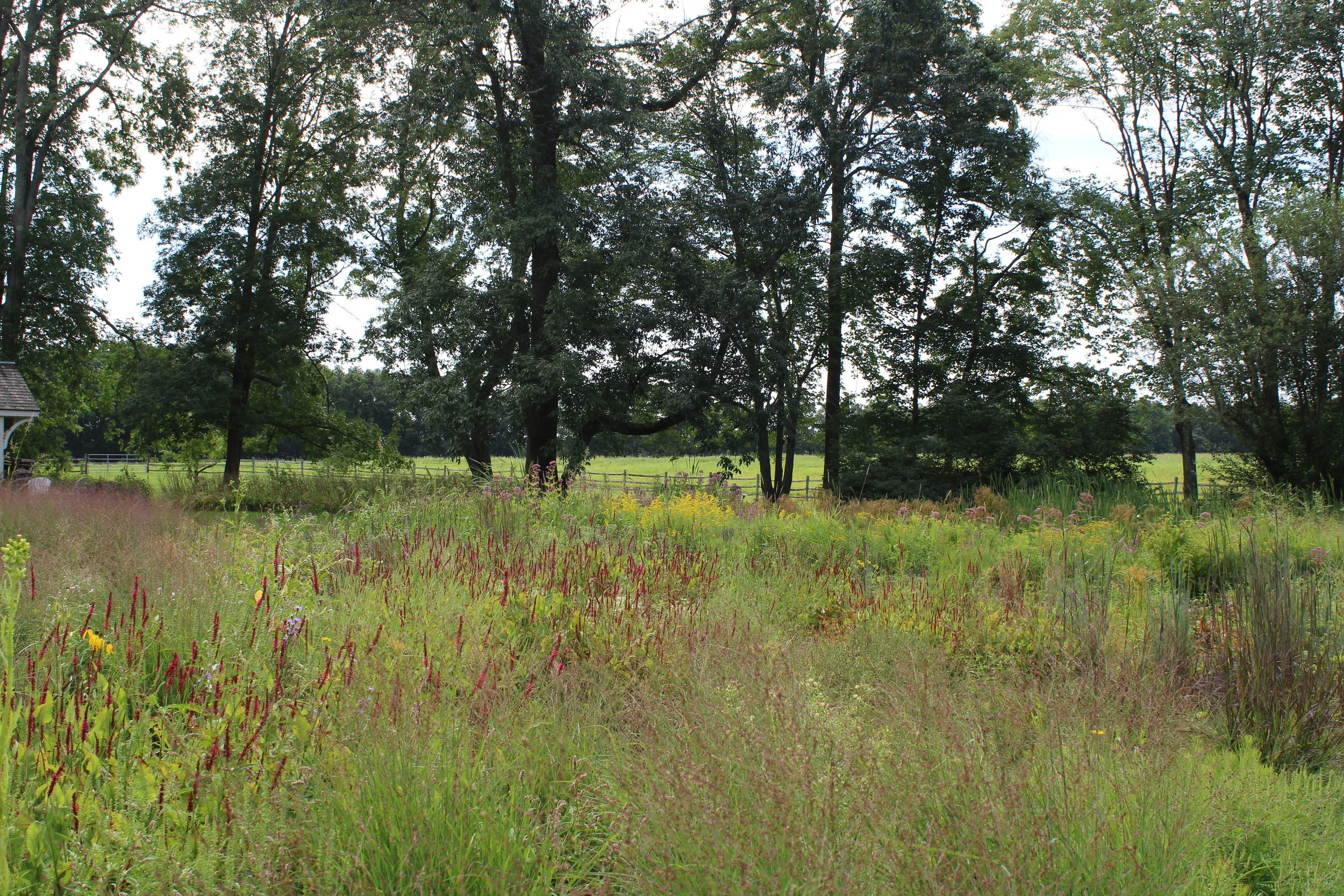 Gardens — Snug Harbor Farm