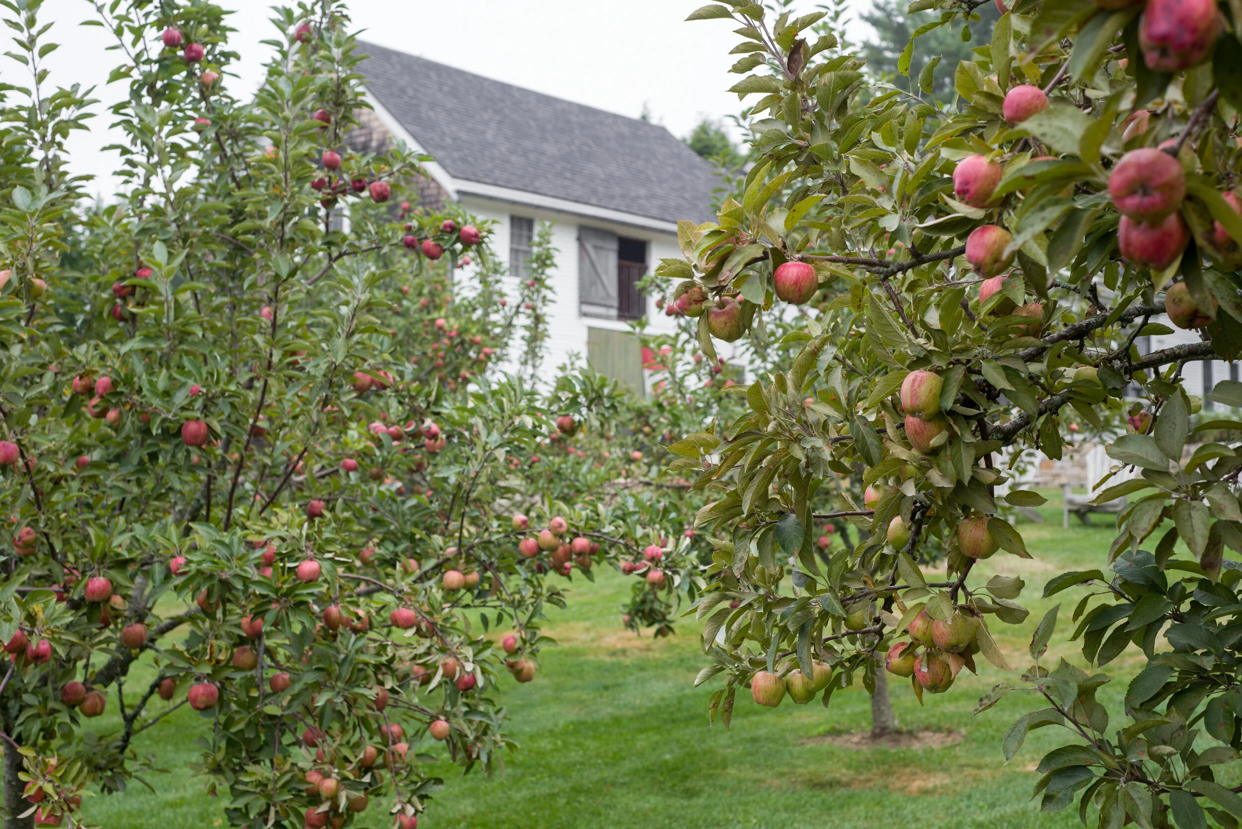 Landscaping Services — Snug Harbor Farm